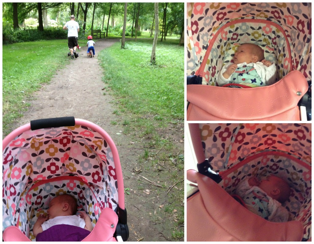 Out and About with our Ooba | Edspire