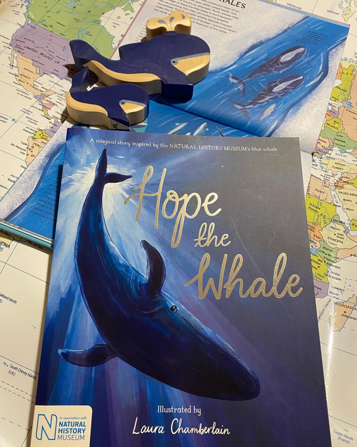 Book Review: Hope The Whale | Edspire